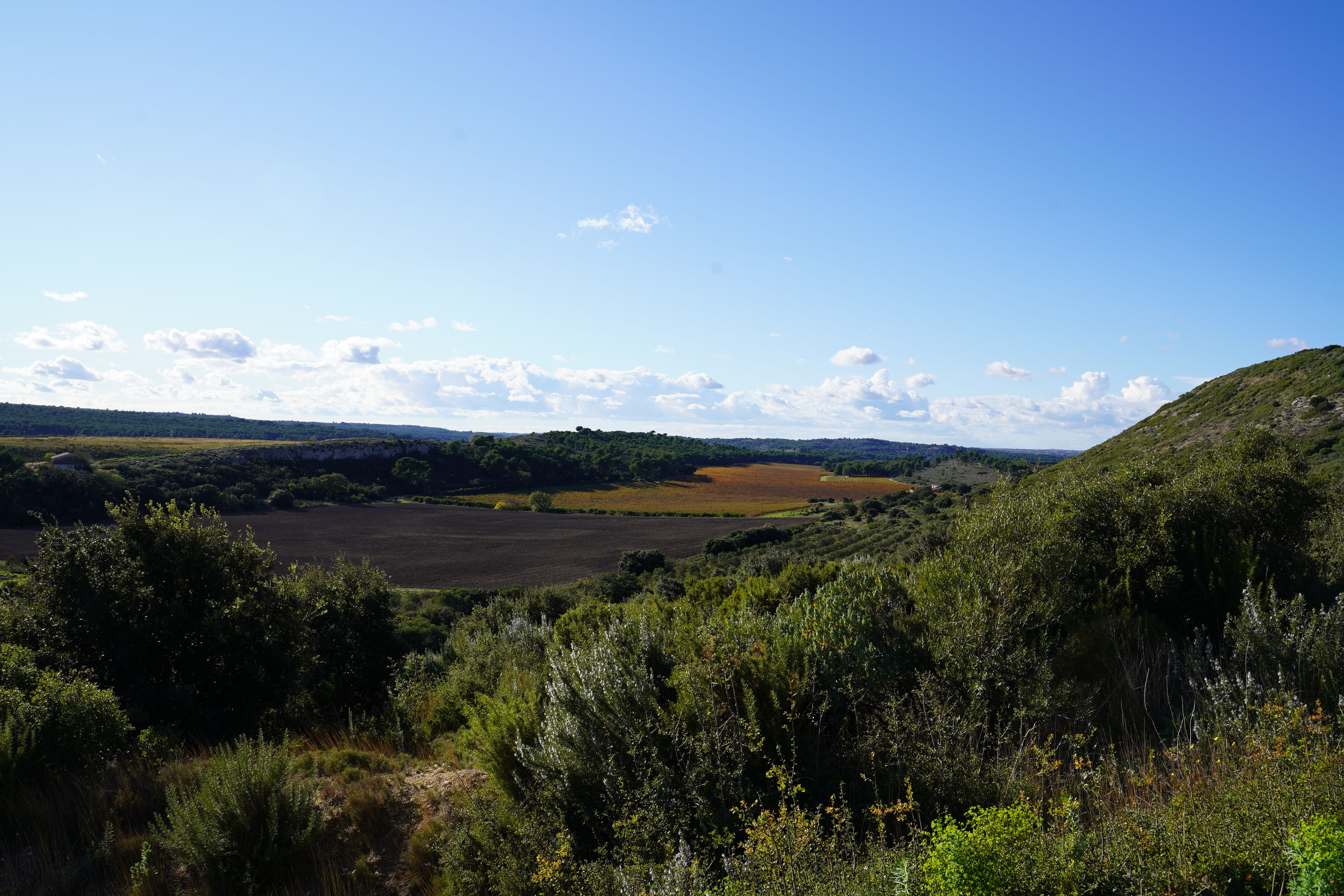Accueil mairie: Mairie Lançon Provence